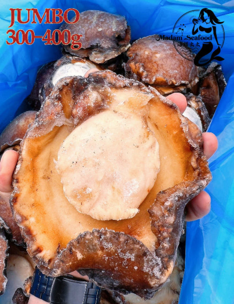 Wild Caught Blacklip Abalone (MEAT ONLY) – Madam Seafood