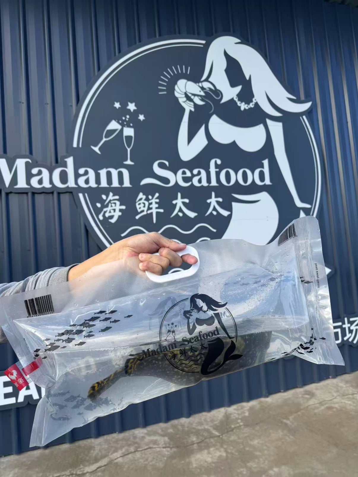 Live Queensland Grouper – Madam Seafood