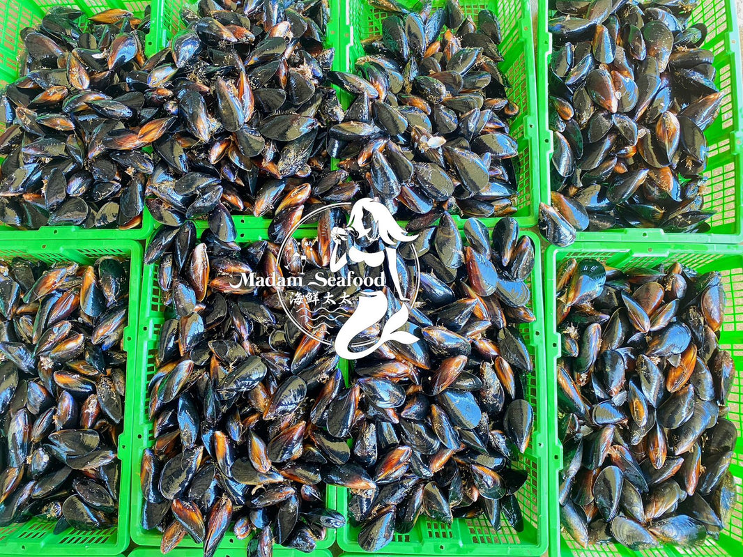 Bug, Mussel, Scallop, Urchin – Madam Seafood