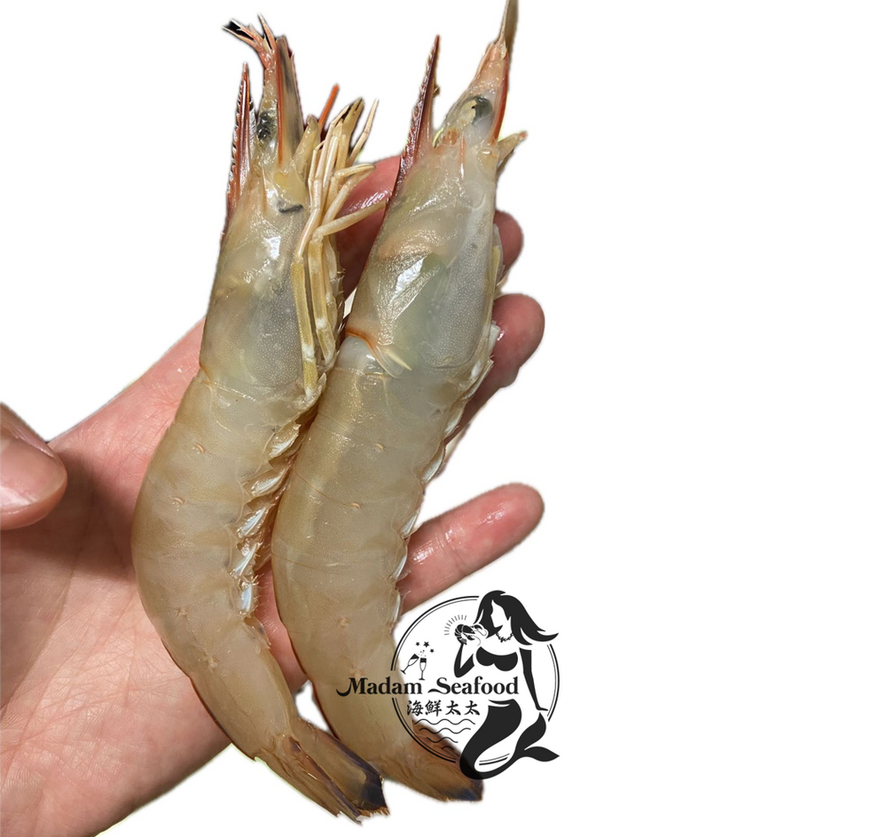 AU Wild Caught Endeavour Prawn (Medium) (Raw) (Frozen) – Madam Seafood