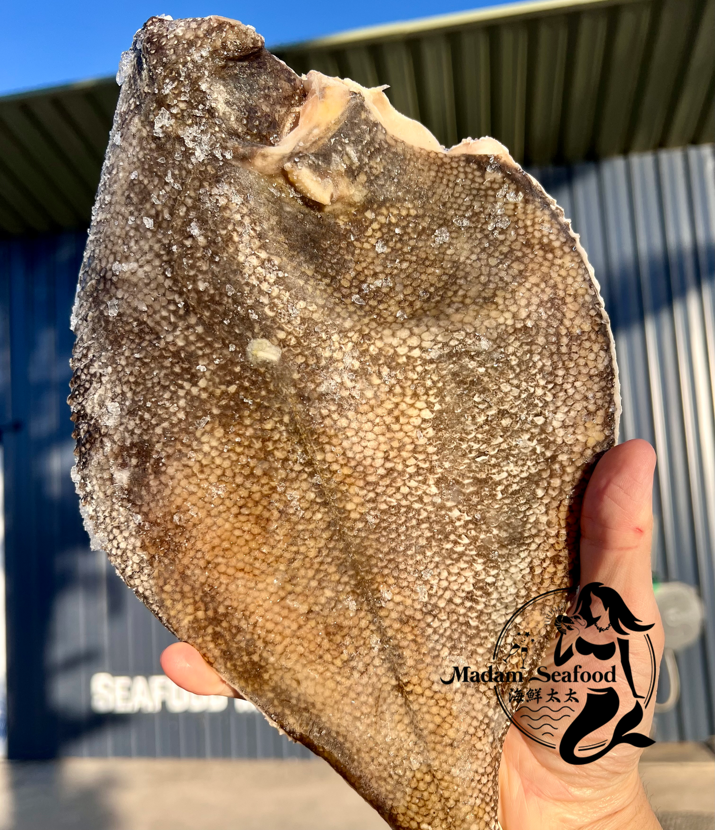 Wild Caught Jumbo Flounder – Head Off, Cleaned (Frozen) – Madam Seafood