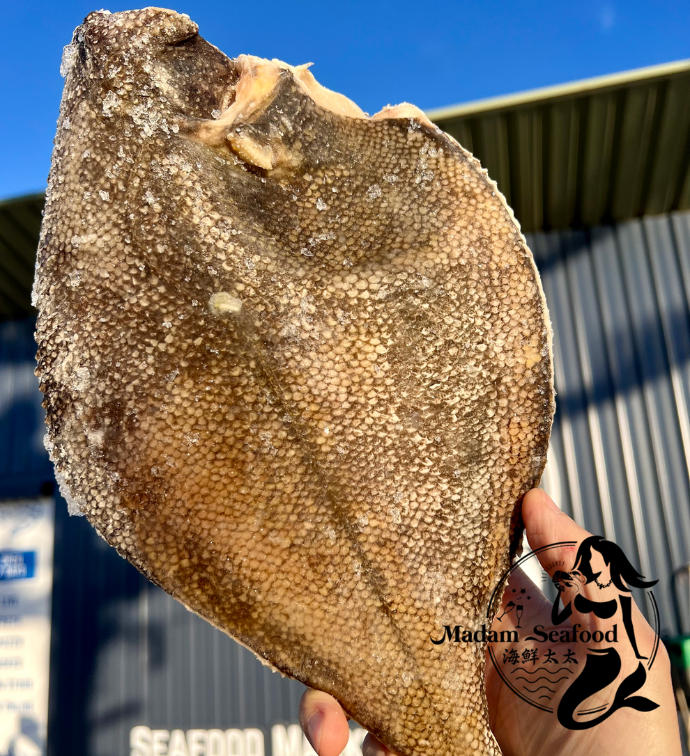 Wild Caught Jumbo Flounder – Head Off, Cleaned (Frozen) – Madam Seafood