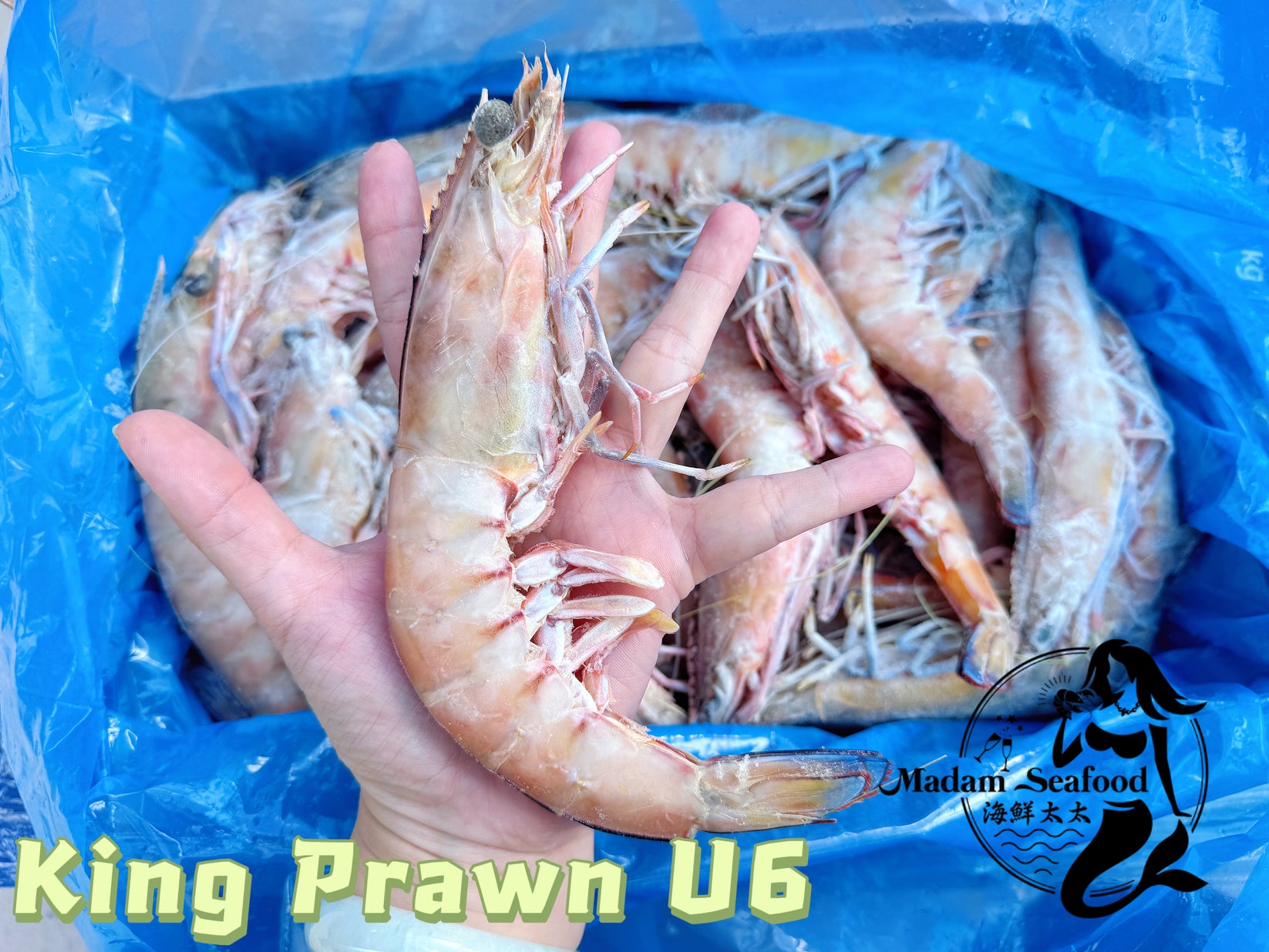 SA King Prawn (Extra Jumbo U6) (Raw) (frozen) – Madam Seafood