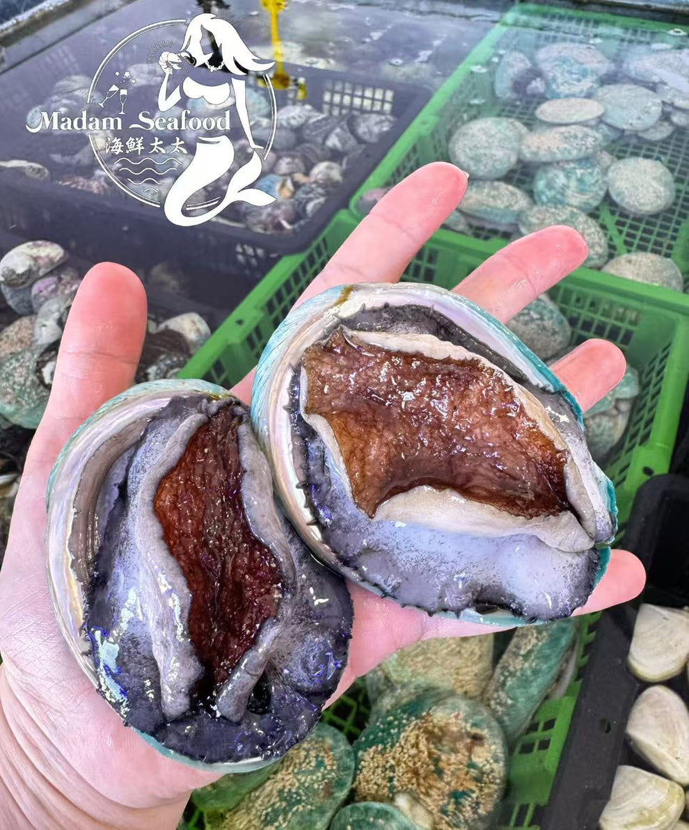 Live Tiger Abalone – Madam Seafood
