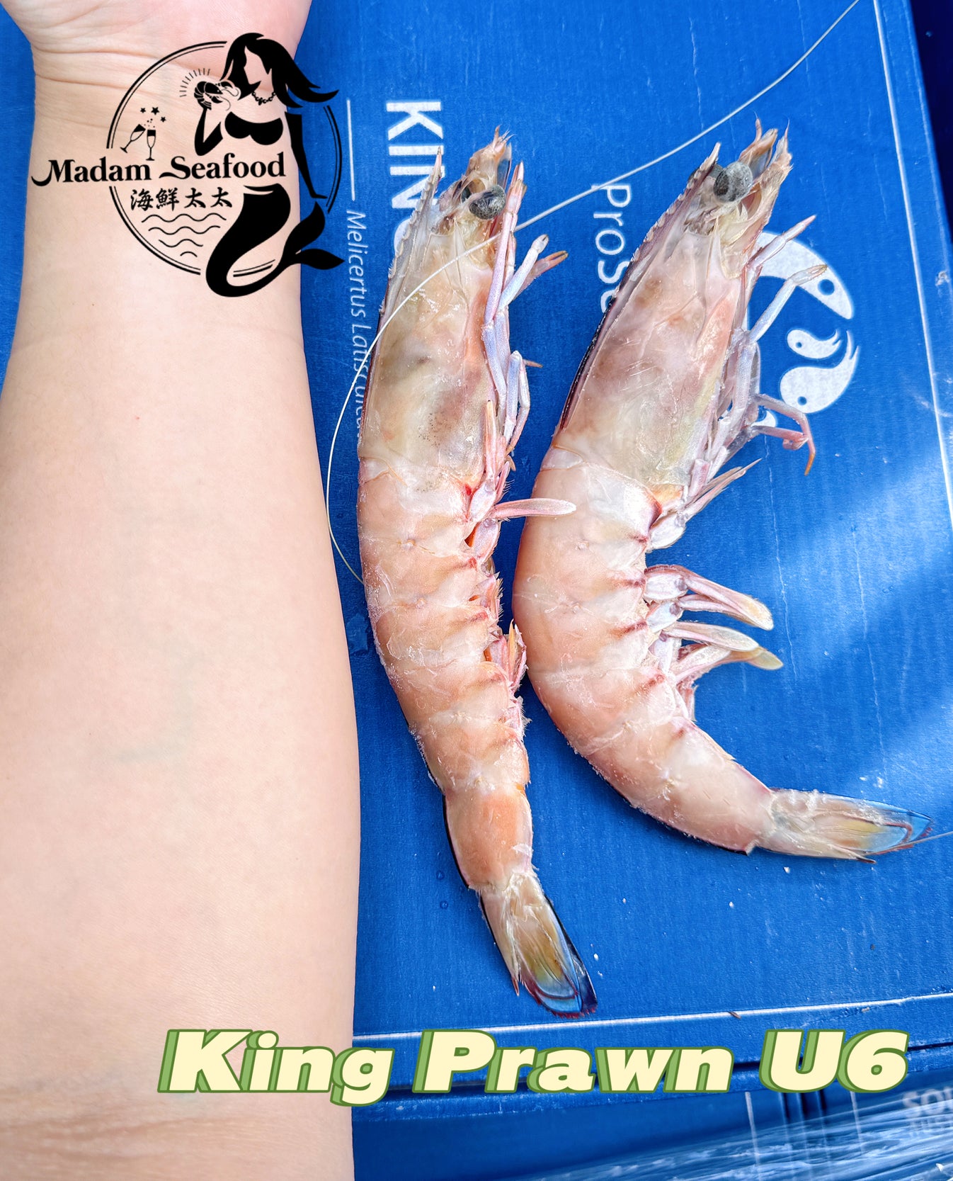 SA King Prawn (Extra Jumbo U6) (Raw) (frozen) – Madam Seafood