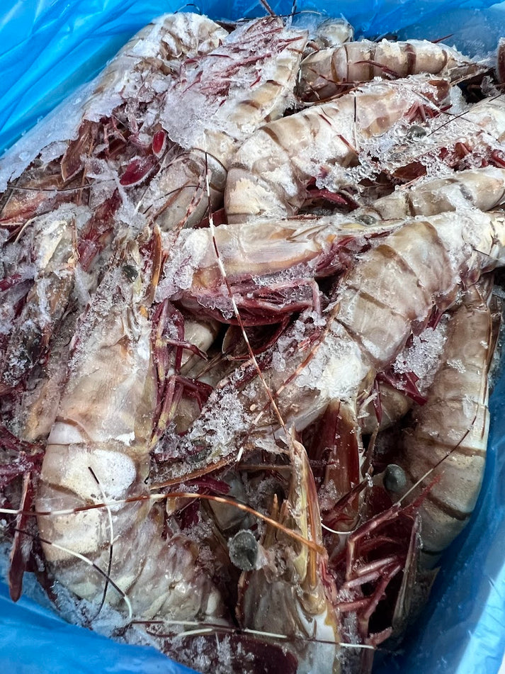 Australian Wild Caught Tiger Prawn (Large) (Raw) (Frozen) – Madam Seafood