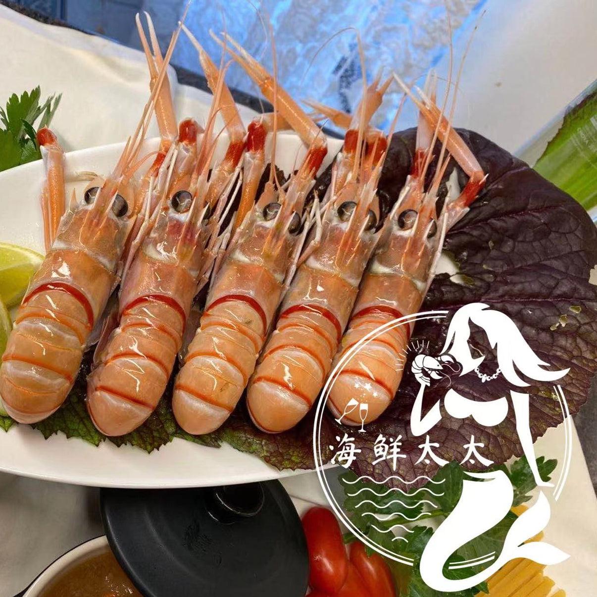 Wild Caught New Zealand Scampi (frozen) – Madam Seafood