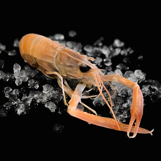 Current Week's Special – tagged "scampi" – Madam Seafood